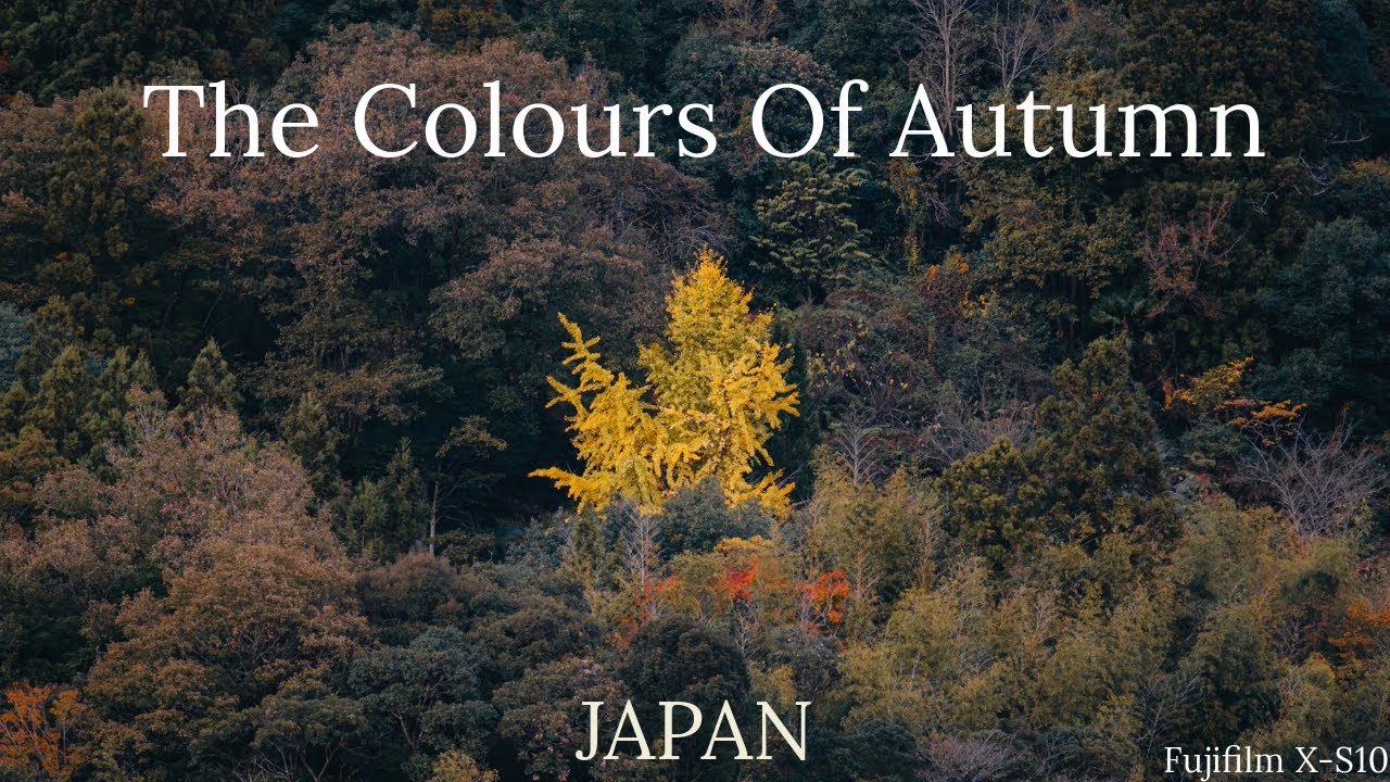 Autumn has Finally Arrived on Shikoku Island - YouTube