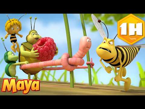 Maya l’Abeille est bannie de la Ruche ? 😱 Maya l’Abeille | Dessin animé pour enfants