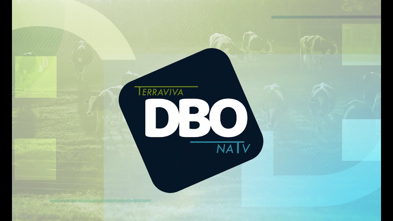 [AO VIVO] DBO NA TV | 30/01/2025 - YouTube