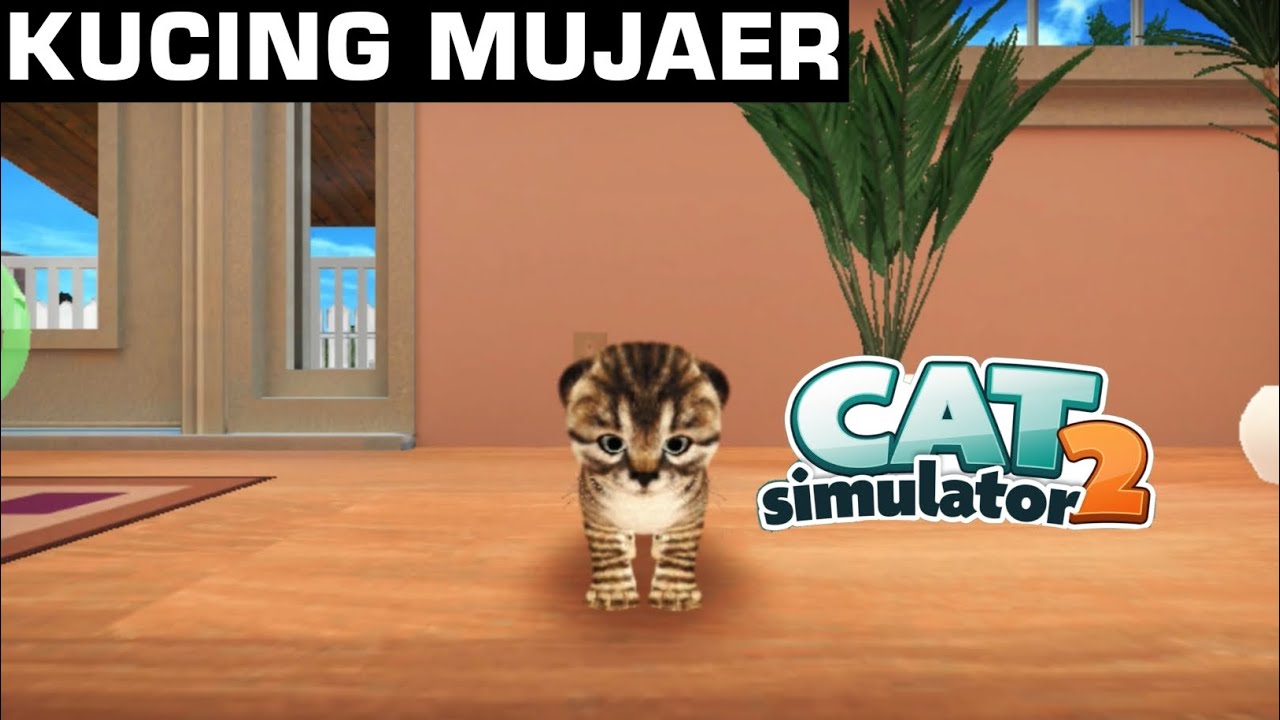 SIMULASI MENJADI KUCING MUJAER | CAT SIMULATOR 2 #youtube #fyp # ...