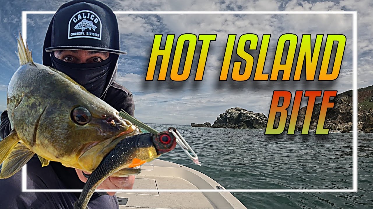"Exploring Catalina Island: Searching for Calico Bass" - YouTube