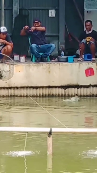 TEKNIK MANCING IKAN SEMI GLOSOR #shorts - YouTube