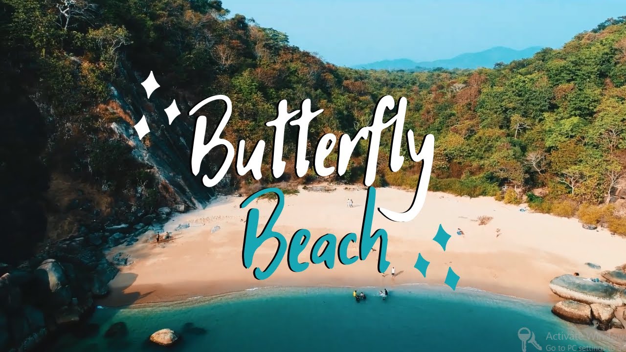 BUTTERFLY BEACH, GOA | Butterfly Hidden Beach | Trek | How to Reach ...