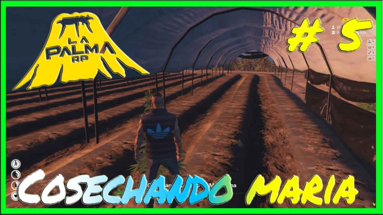 GTA 5 LA PALMA RP +18 | Cultivando Maria - La Palma RolePlay - Akilex ...