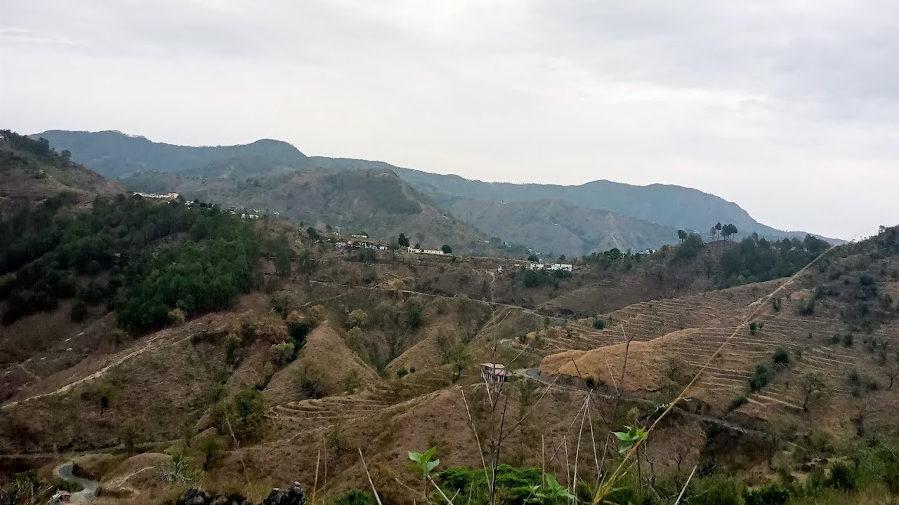 Pahad Or Pahadi Dance.|| Vilage Life || Shaadi || Dj Night. ☺️ ️ - YouTube