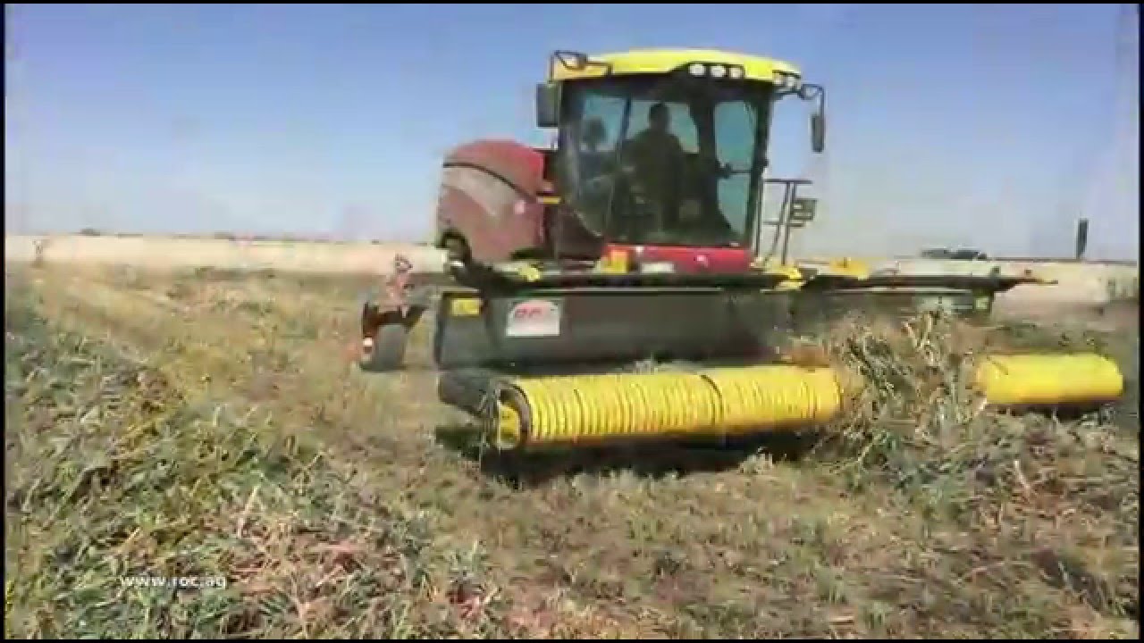 ROC merger in the world - YouTube