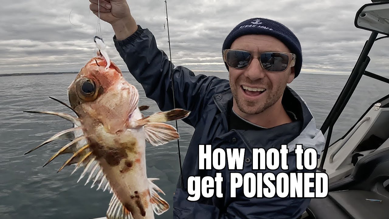 Chasing SHARKS and eating a POISONOUS fish. - YouTube