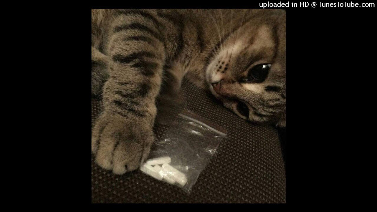 ruben slikk | kane grocerys dope runna verse - YouTube