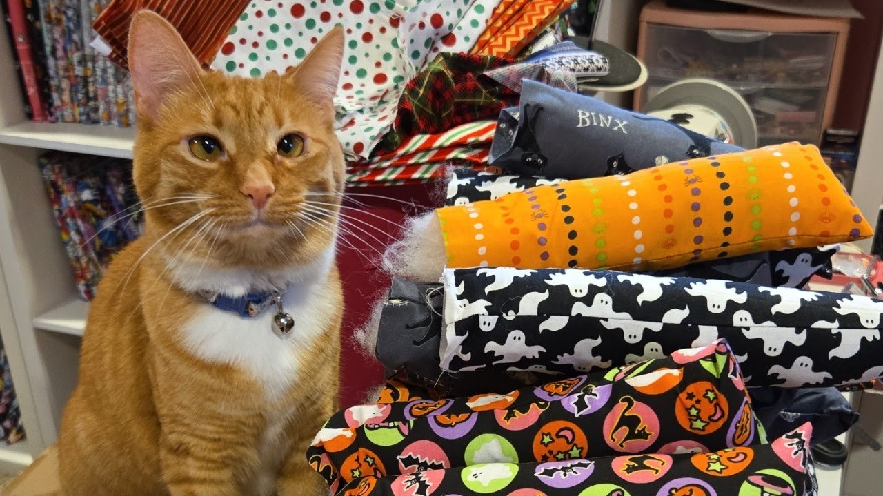 Show Prep for the Cleveland Cat Expo! - YouTube