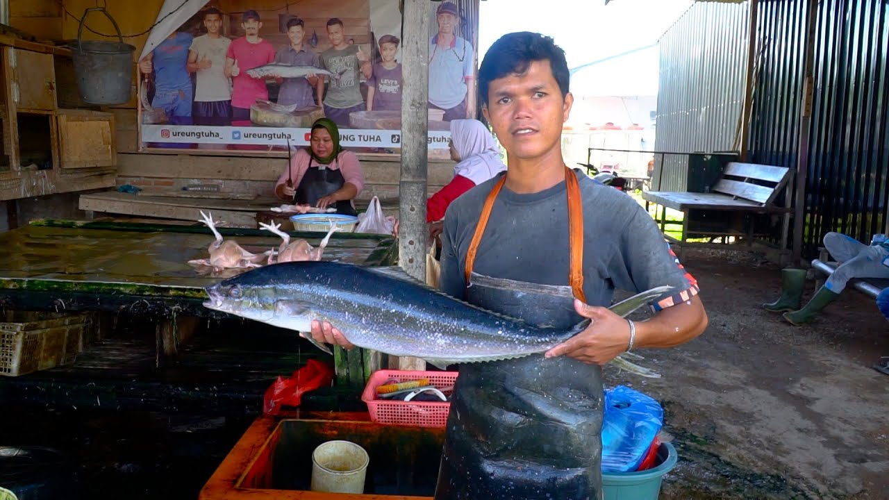 AMAZING boys 16 Year Old || FASTEST SUNGLIR Fish Cutting Technique ...