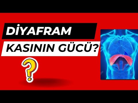 Diyafram kası,  Sağlık, Prof.Dr.Serdar Akgün,