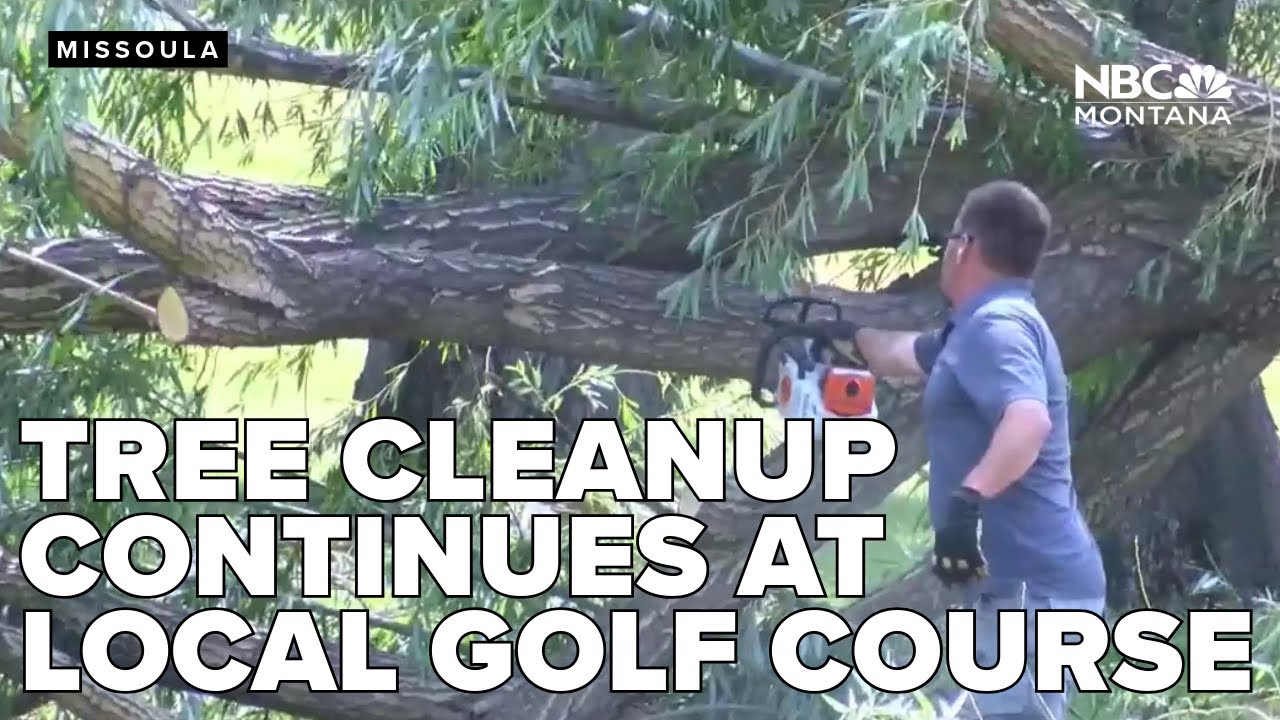 Larchmont Golf Course to plant new trees as windstorm recovery ...