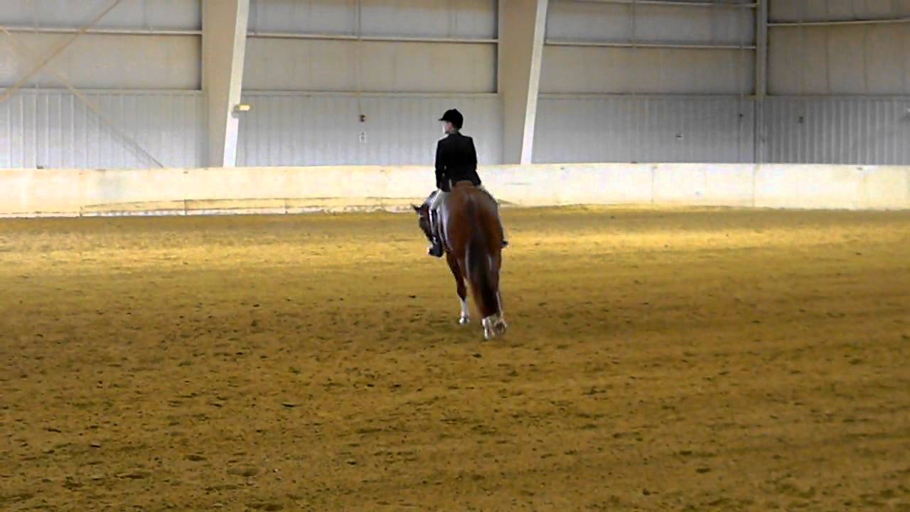 ZIP MY FANCY FANNY 07 ALL TIME FANCY MARE- 2011 2X RES WORLD CHAMP - YouTube
