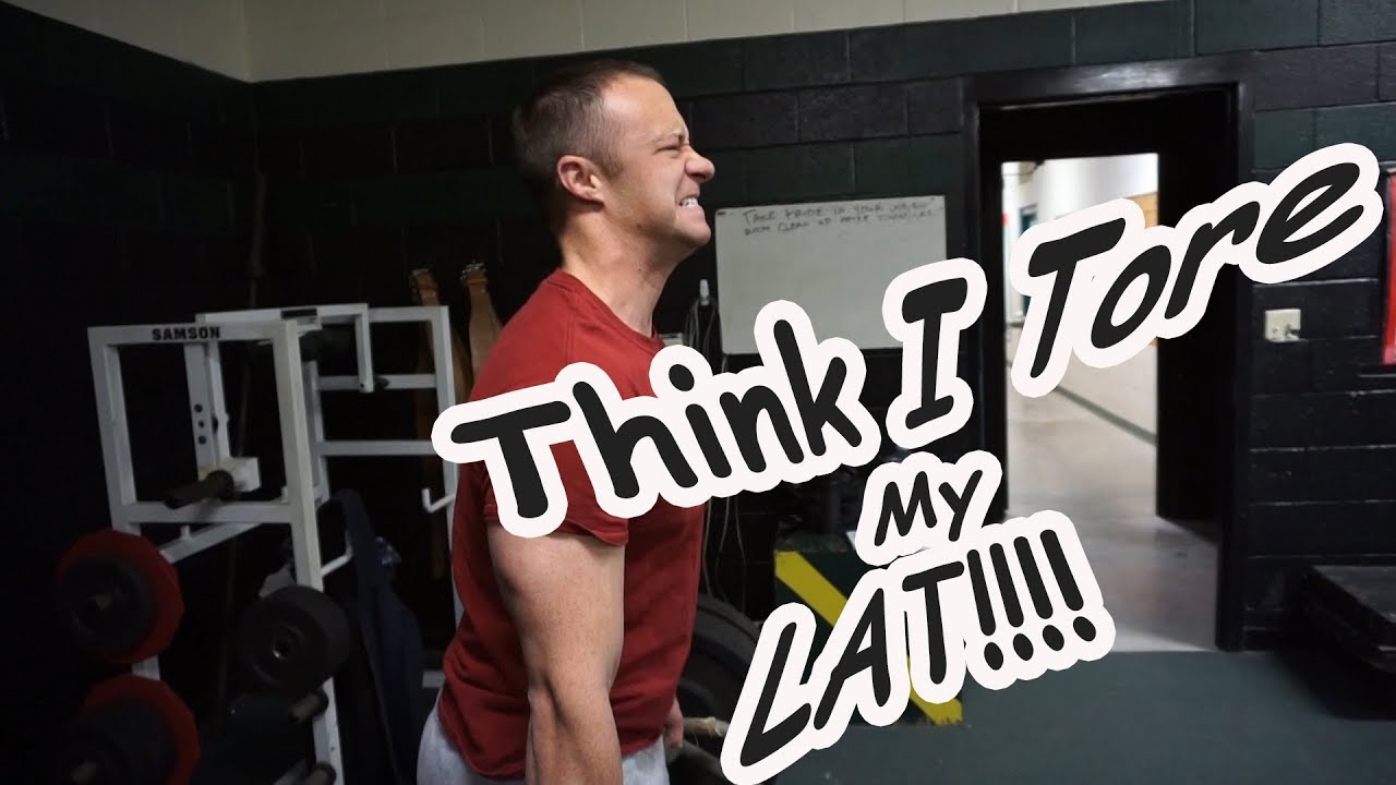 Heavy Weight?? Buff Dudes Bulking/Cuting Plan Phase 1 Day 2 Review ...