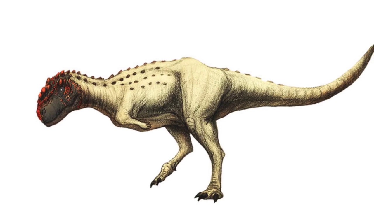 | Rugops primus | DinoBio #1 - YouTube