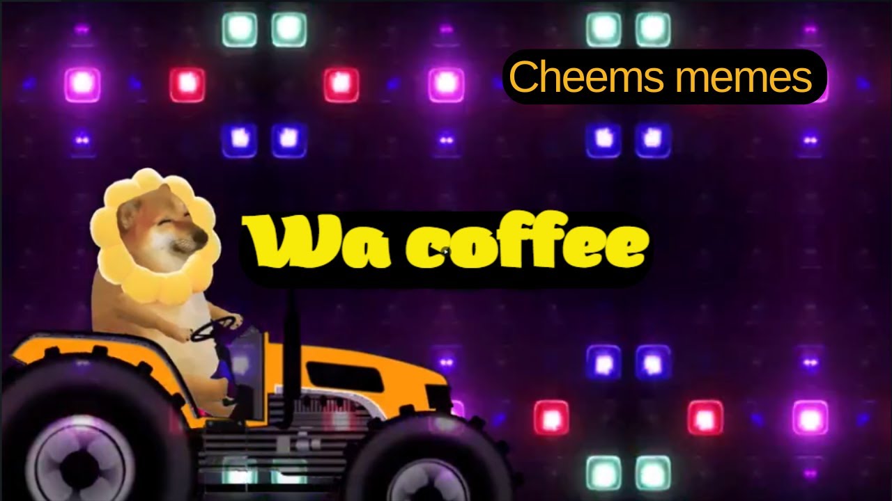 Cheems: Wa coffee - Is it a medium cup? - YouTube