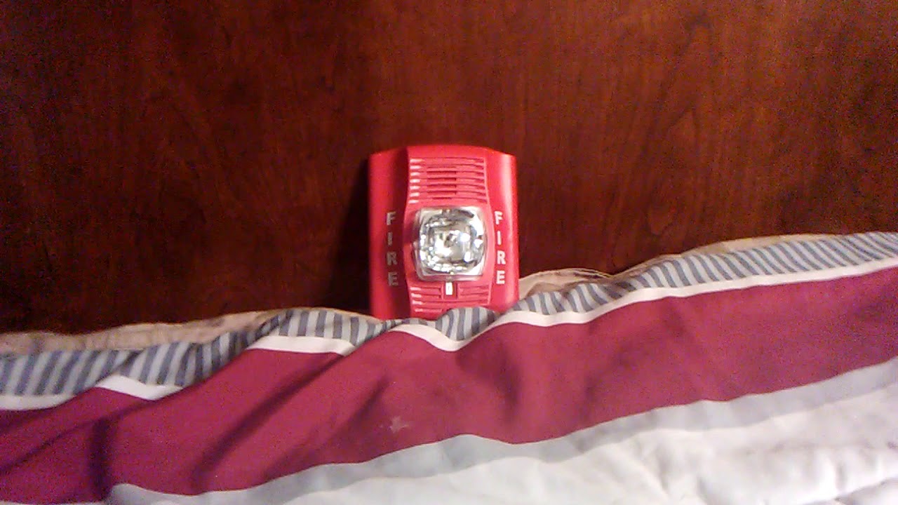 Review of the p2rk outdoor horn/strobe - YouTube