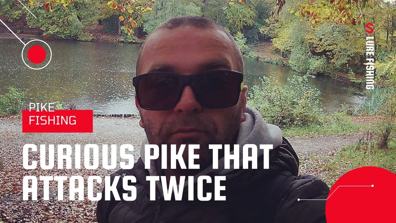Curious Pike that Attacks Twice - YouTube