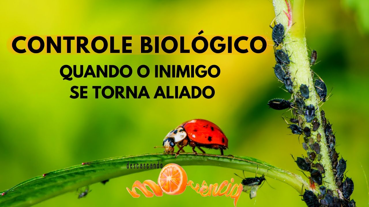 CONTROLE BIOLÓGICO :: você sabe o que é? - YouTube
