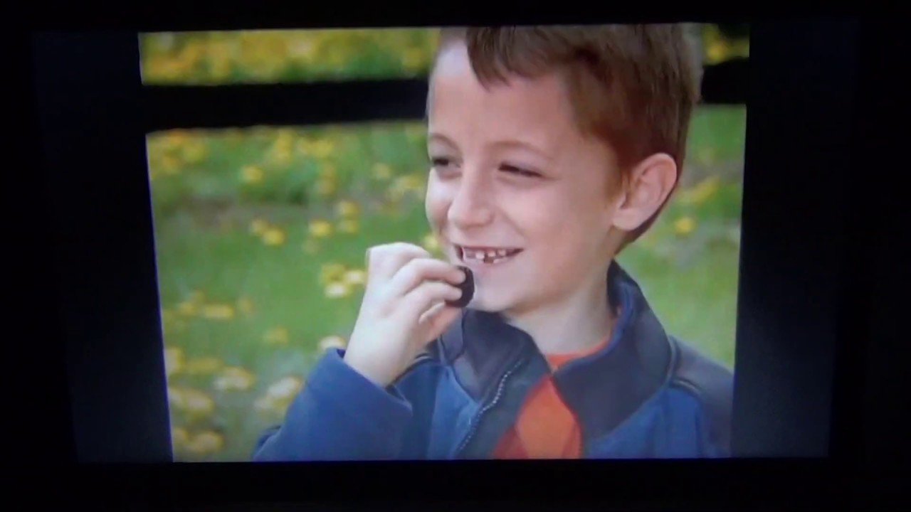 Wilbur TV Show: The Healthy Foods Song - YouTube