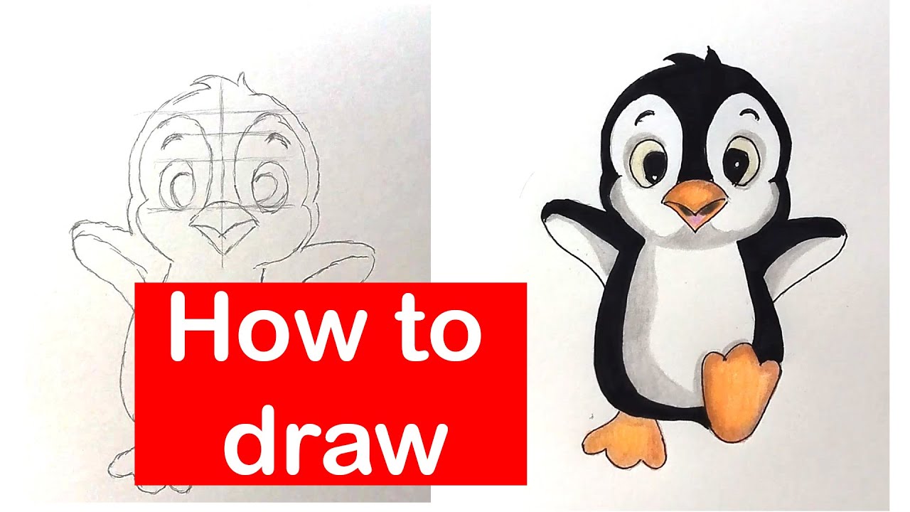 Menggambar anime/ kartun pinguin lucu || How to draw Penguin 🐧 - YouTube