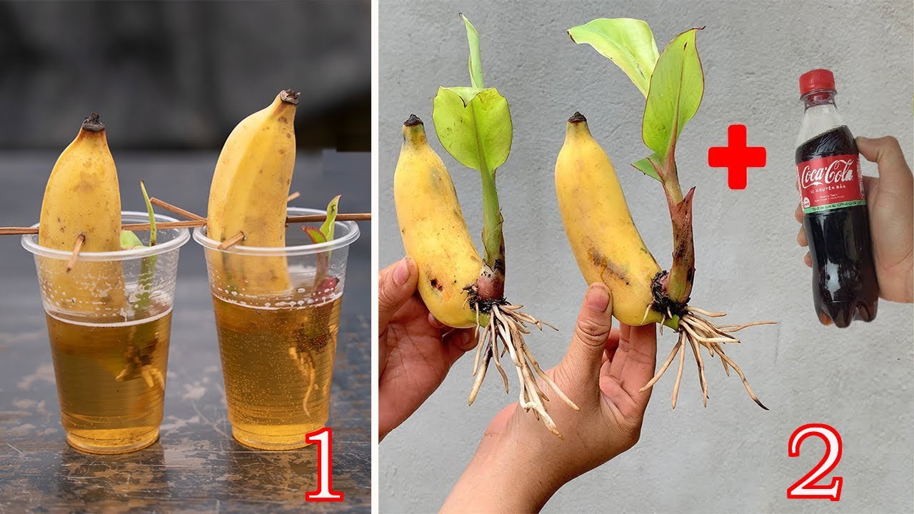 Video Summary of 3 extremely simple and super effective methods of ...