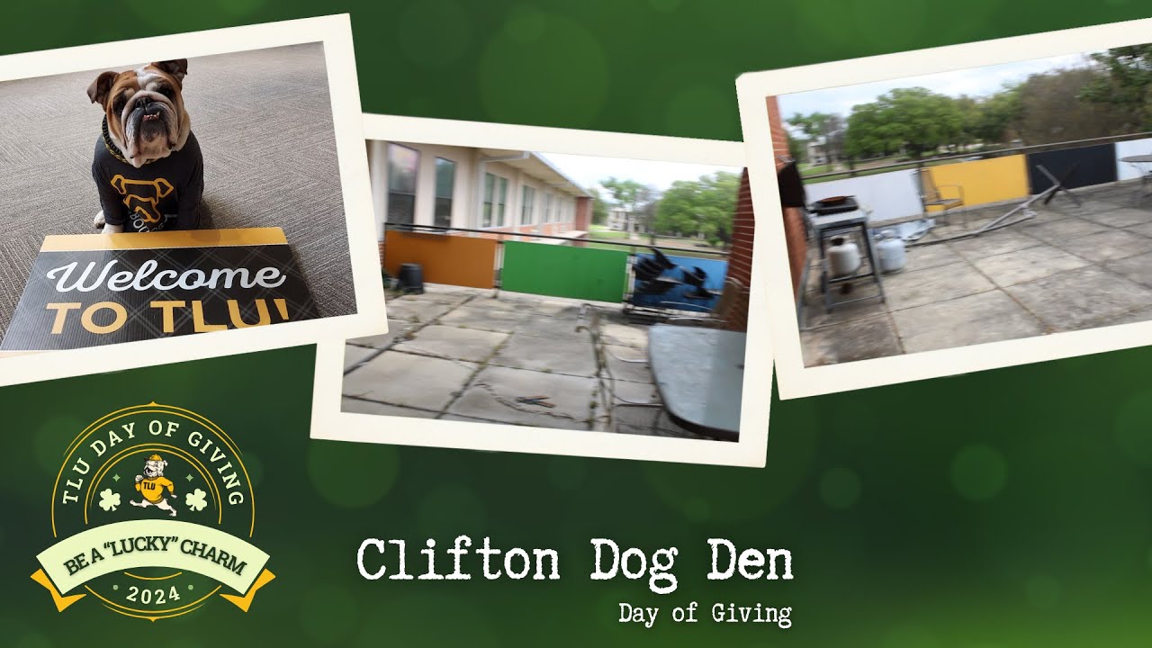 Clifton Dog Den - YouTube