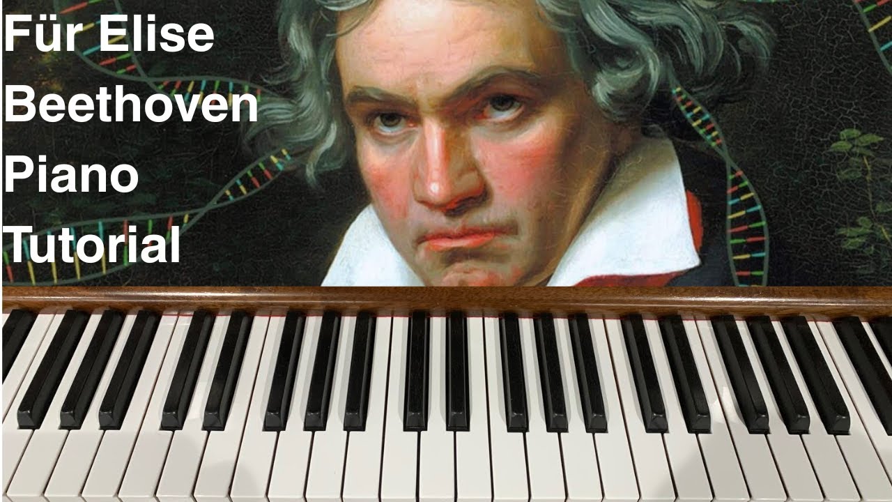 Für Elise – Beethoven | Easy Piano Tutorial for Beginners - YouTube