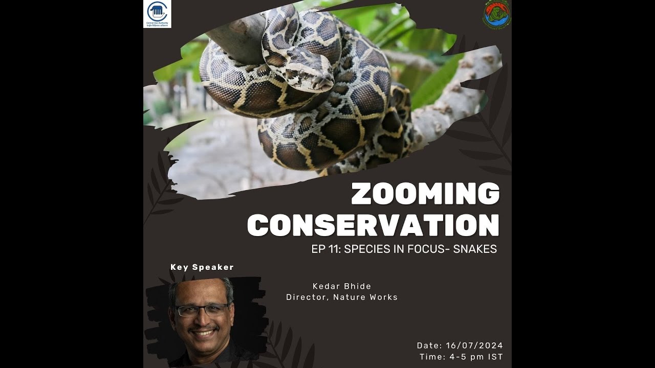 EP 11: Species in Focus- Snakes - YouTube