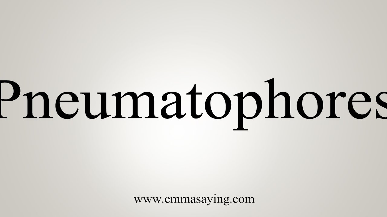 How To Say Pneumatophores - YouTube