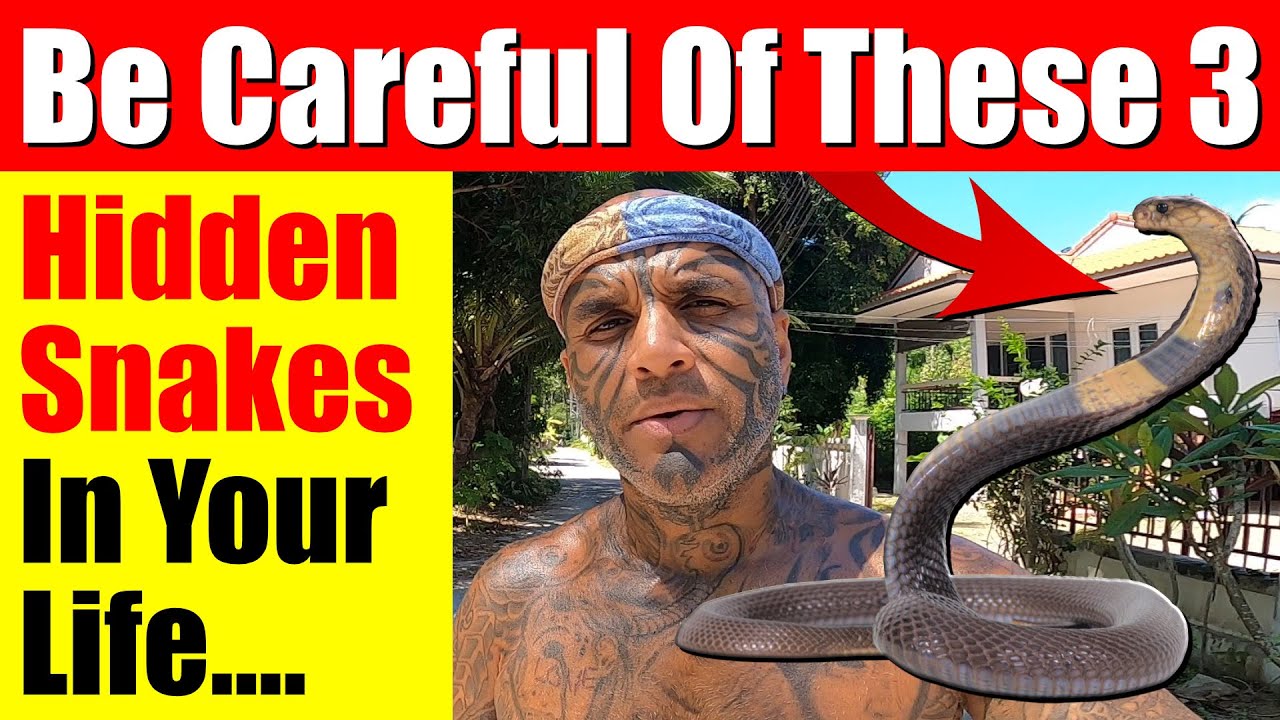Be Careful Of These 3 Snakes. The Biggest Enemies In Your Life - Video ...