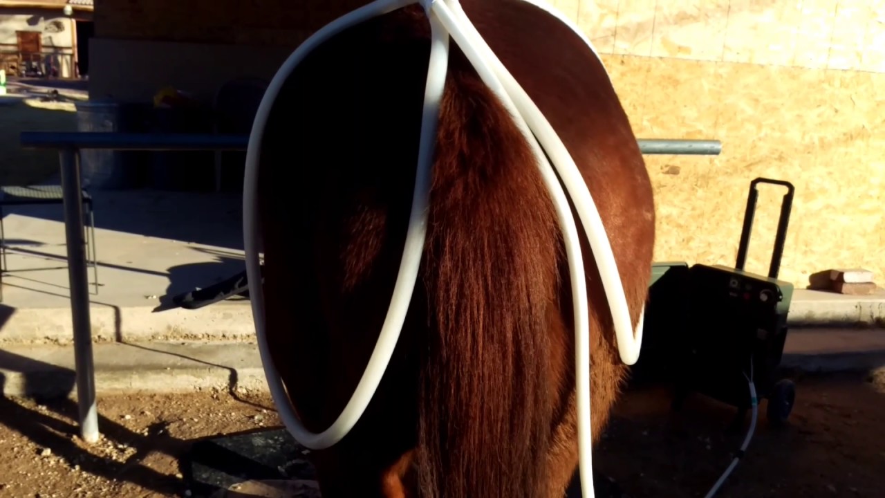 Magna wave showing differences on each side - YouTube