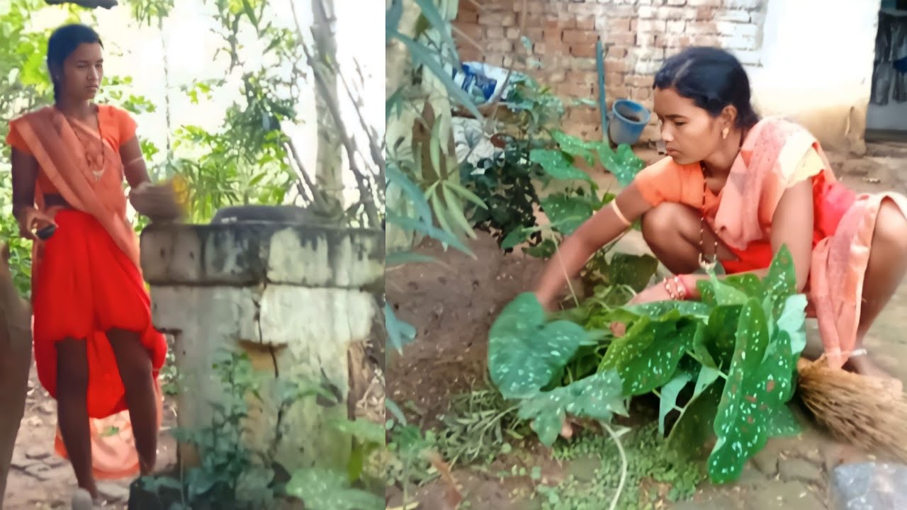 तुलसी चौरा झाड़ू से सफाई || Cleaning with Tulsi Chaura broom ...