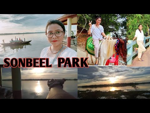 Son Beel l The 2nd Largest Wetland In India l Karimganj Assam - YouTube