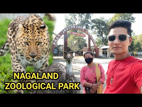 NAGALAND ZOOLOGICAL PARK, RANGAPAHAR, DIMAPUR 🔥🔥 - YouTube
