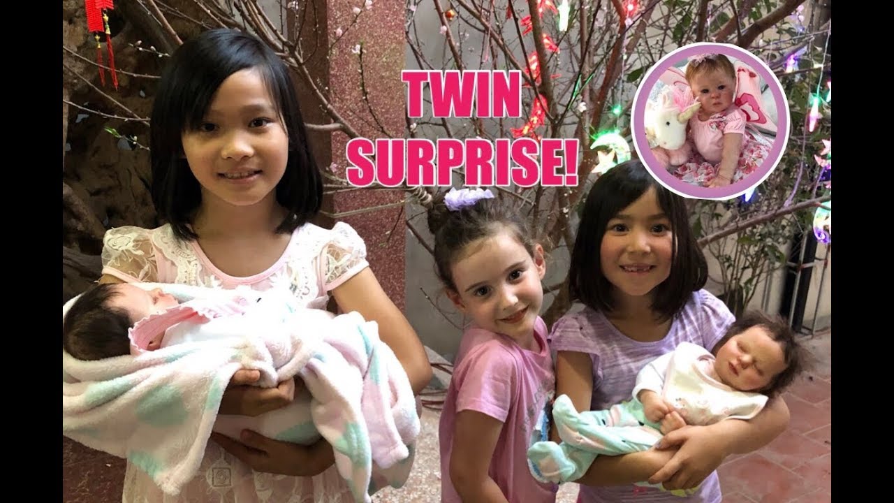 Reborn Twin Surprise for two Special Little Girls - YouTube