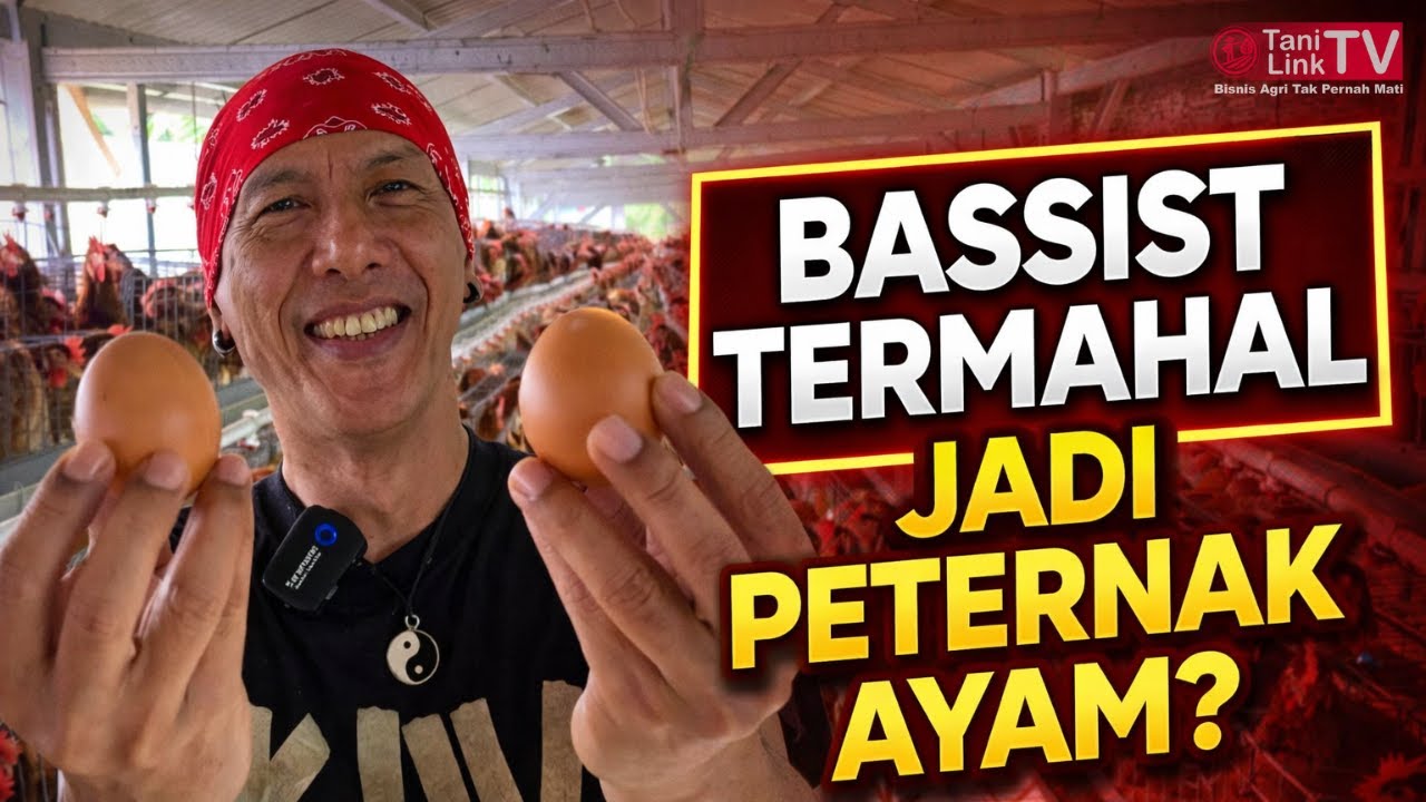 EDISI SPESIAL! Healing di Maribaya Mengunjungi Peternakan Mini Yuke ...