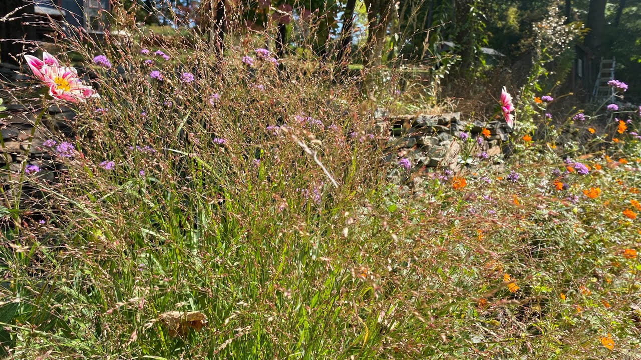 Tips On How To Become A Good Gardener - YouTube