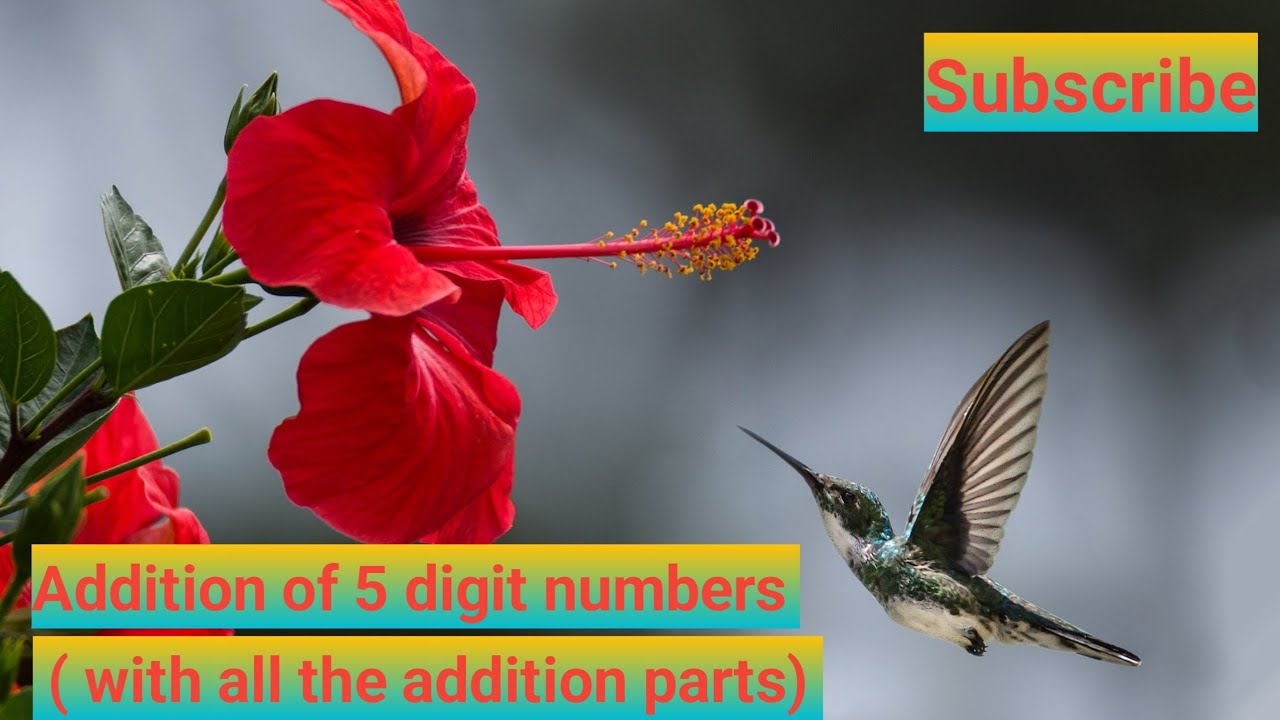 Addition of 5 digit numbers (with all the addition parts) .🍄🍄🐝 - YouTube
