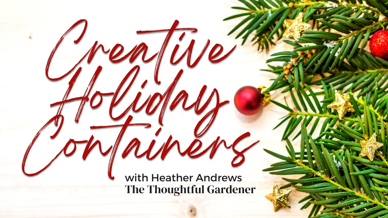 Best Way to Create a Creative Holiday Containers - YouTube