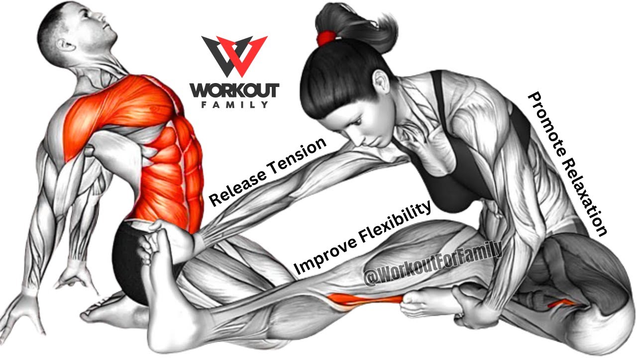 10 Best Exercises for Flexibility and Relaxation | Seated Stretching ...