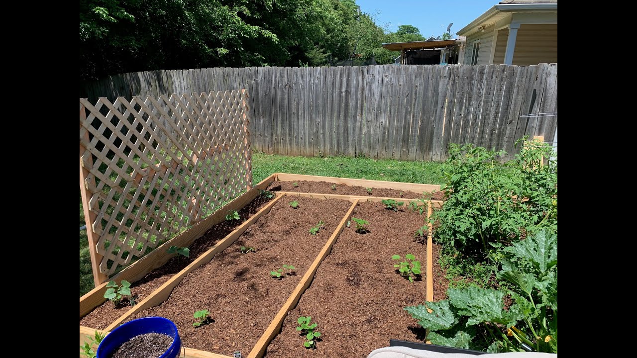 Building my Garden - YouTube