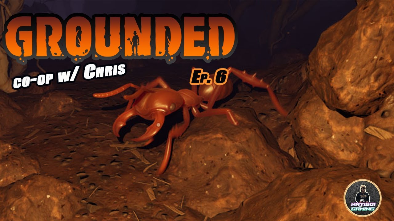 GRAVE ROBBERY|Grounded - YouTube