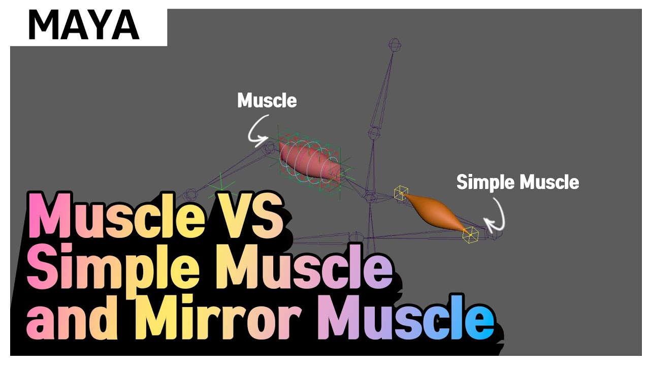 Maya Muscle VS Simple Muscle and Mirror Muscle - YouTube
