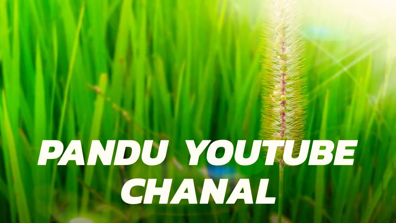 Mana Palleturi andhalu - YouTube