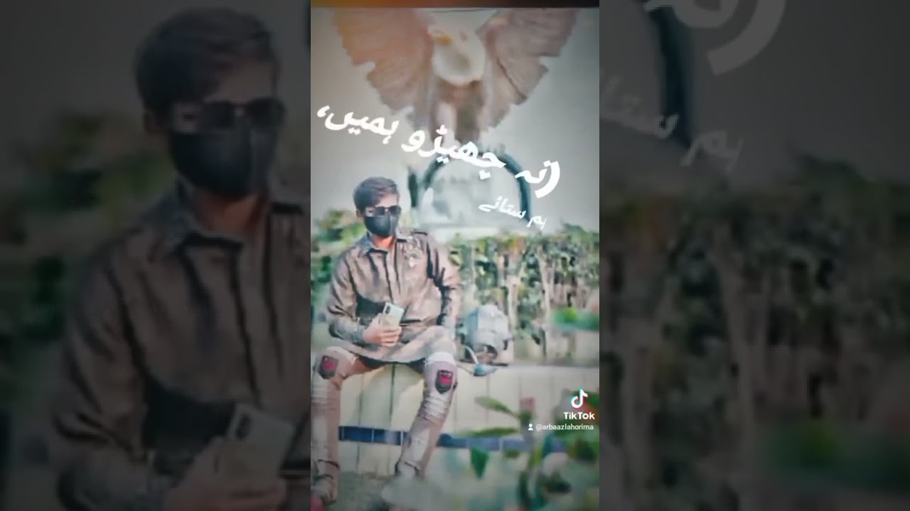 Amazing Video Youtube