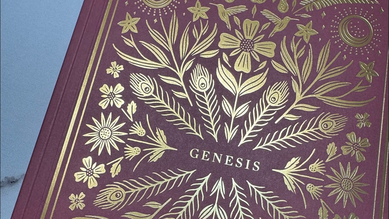 Genesis 8-11 - YouTube