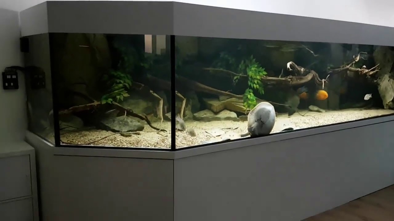 Really nice and huge Amazone Tank. 4500 Liters (1188 Gallons) - YouTube