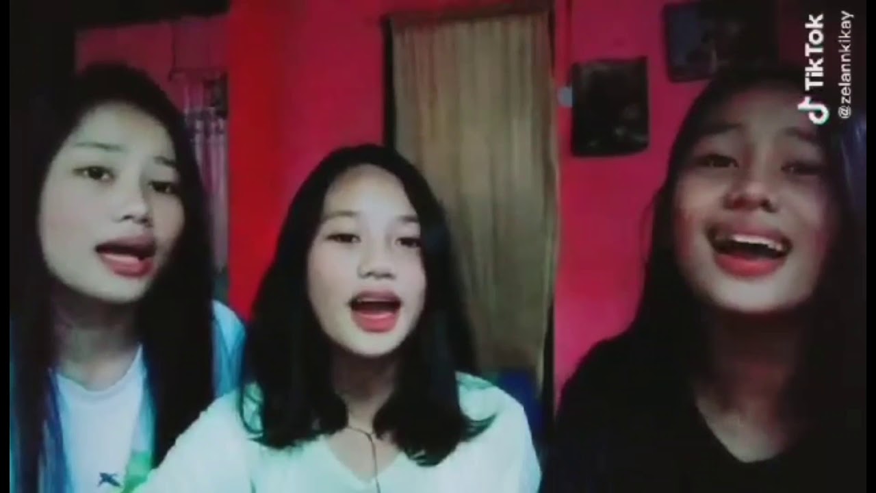 My Nieces Shorts Tiktok Challenge Meden Vlog Youtube