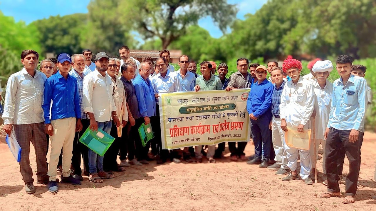 काजरी भम्रण कृषि नवाचार भम्रण-खरीफ 2023 kajari jodhpur #bharman #भम्रण ...